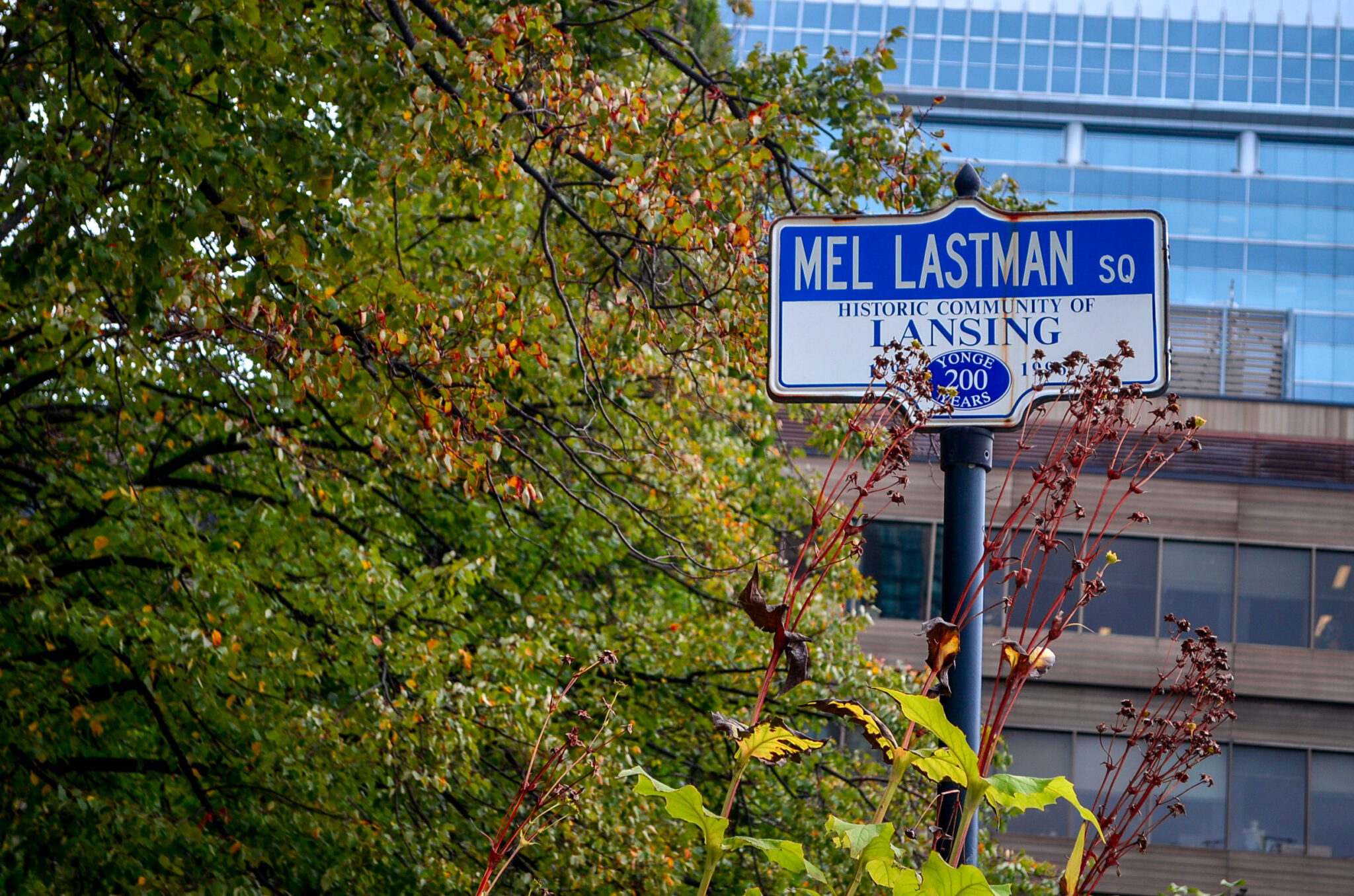 Our story - Mel Lastman Square
